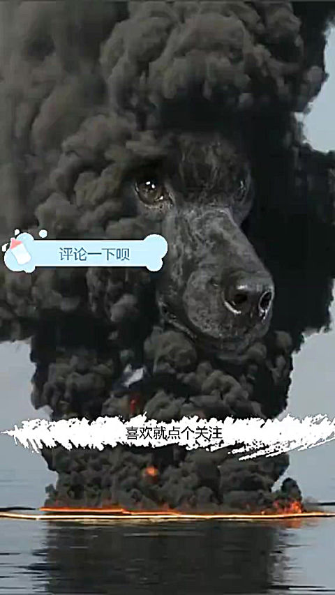 世界公认的最健康时间作息表