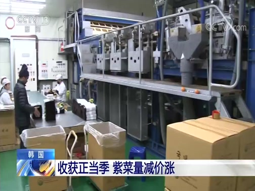[新闻直播间]韩国 收获正当季 紫菜量减价涨