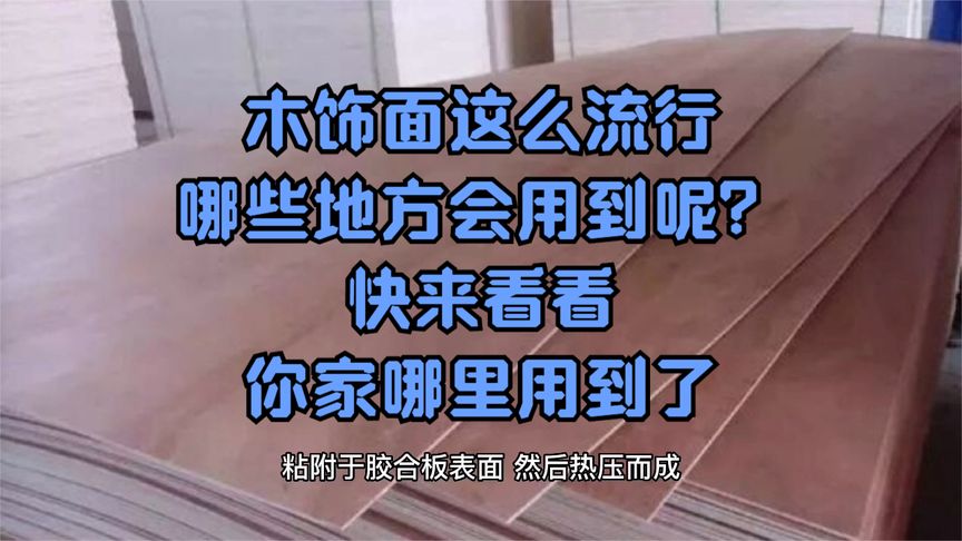 木饰面这么流行,哪些地方会用到呢?快来看看,你家哪里用到了