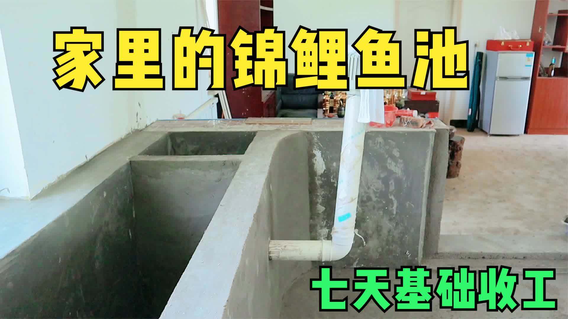 打造锦鲤观赏鱼池,过滤系统设计简单有效,沉淀仓必须要做大!