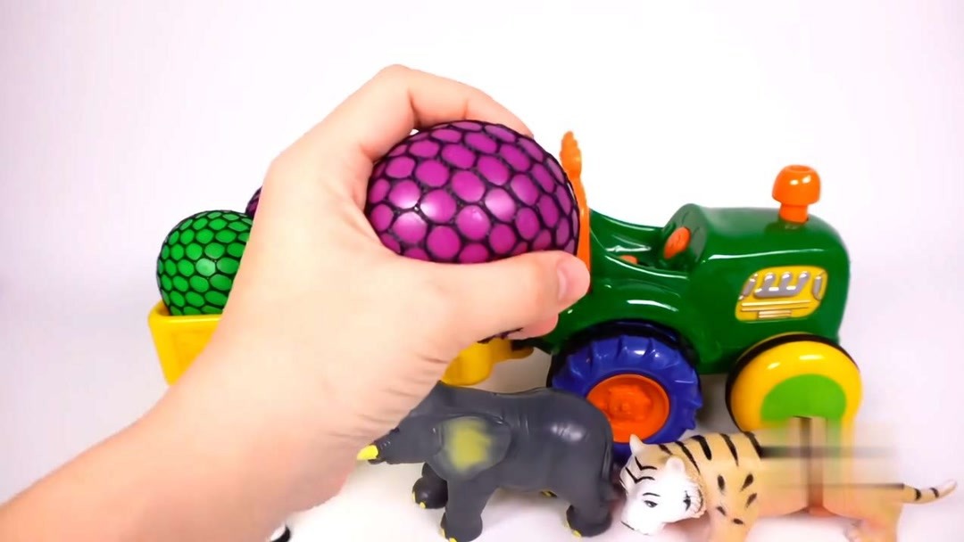 儿童捏捏球和野生动物模型