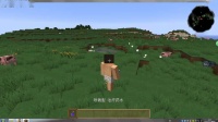 我的世界【秒杀创造药水】和【掉线箱子】
