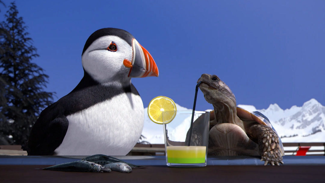 爆笑动物运动会 第40集 深情会面