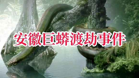 安徽巨蟒渡劫事件