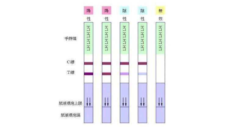 排卵试纸显示弱阳说明快要排卵了吗?试纸测排卵结果准确度有多高