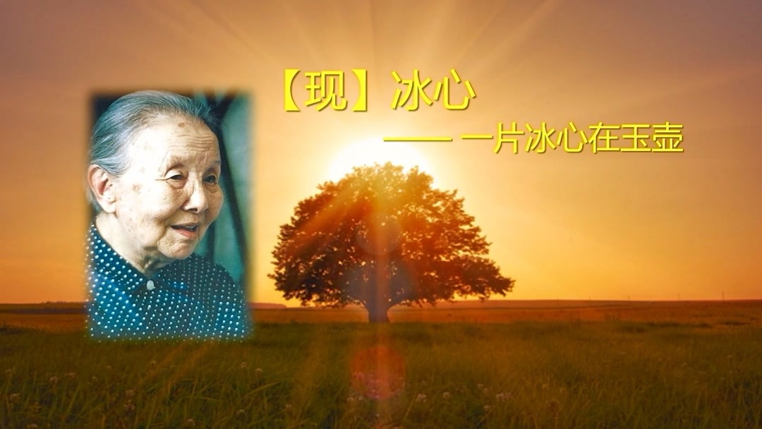 冰心--一片冰心在玉壶