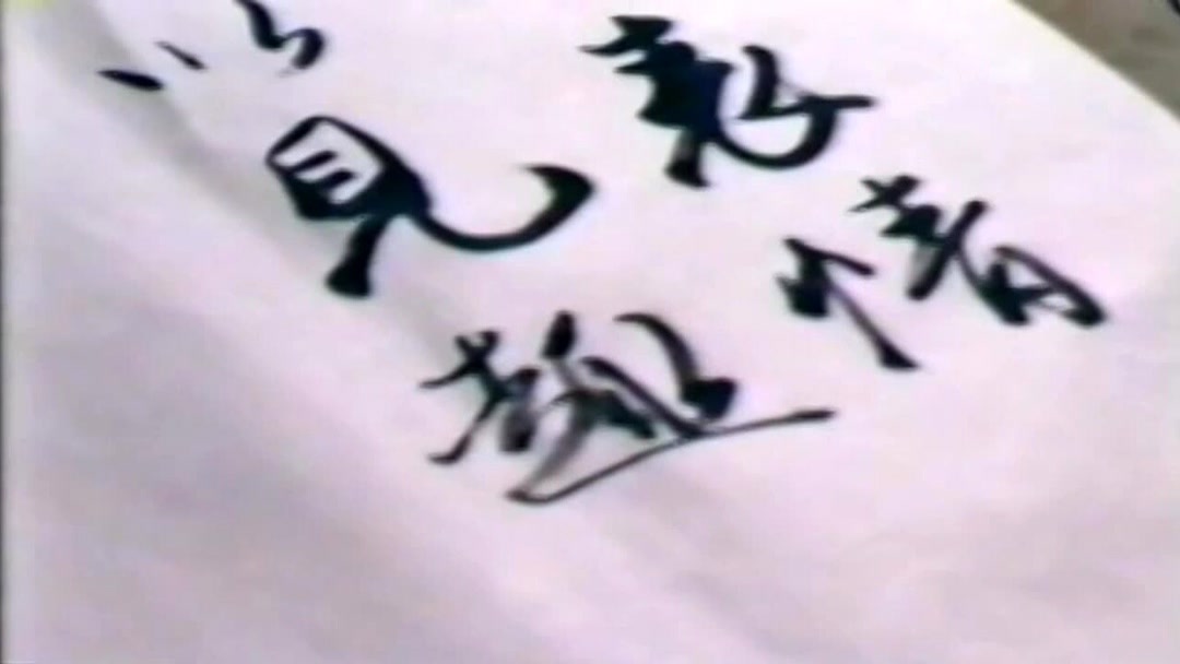 硬笔书法教程 硬笔书法基本格式知识 柳体教学视频