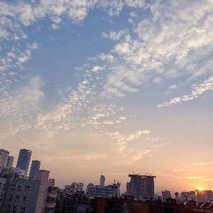 坚持读书的糊湫 