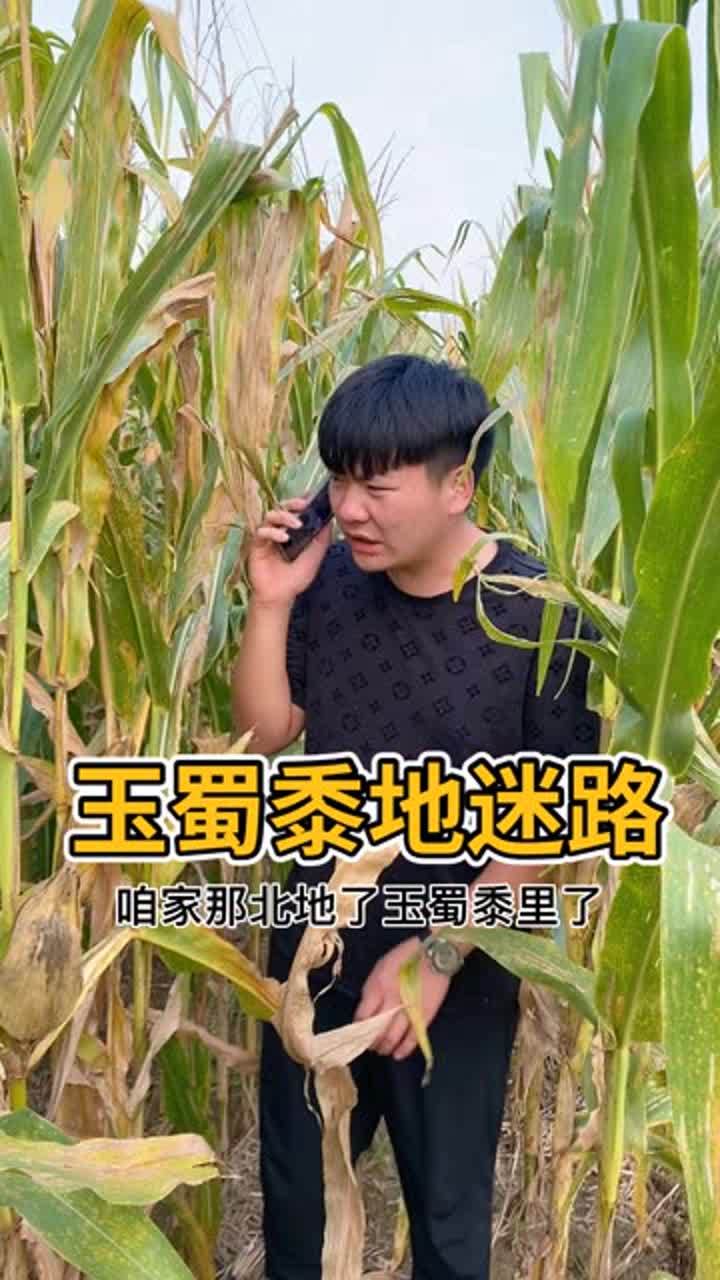 你去人家地会找到你怨我了原创搞笑视频乡村爱情农村搞笑视频