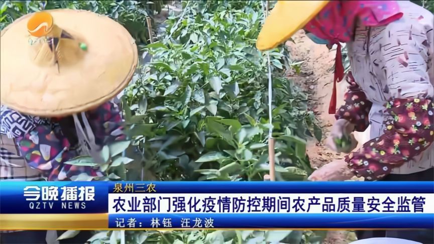 农业部门强化疫情防控期间农产品质量安全监管