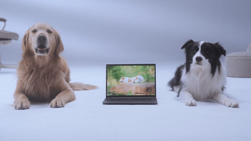史上ZUI萌评测?带你感受联想ThinkPad这块抗造天花板|视频