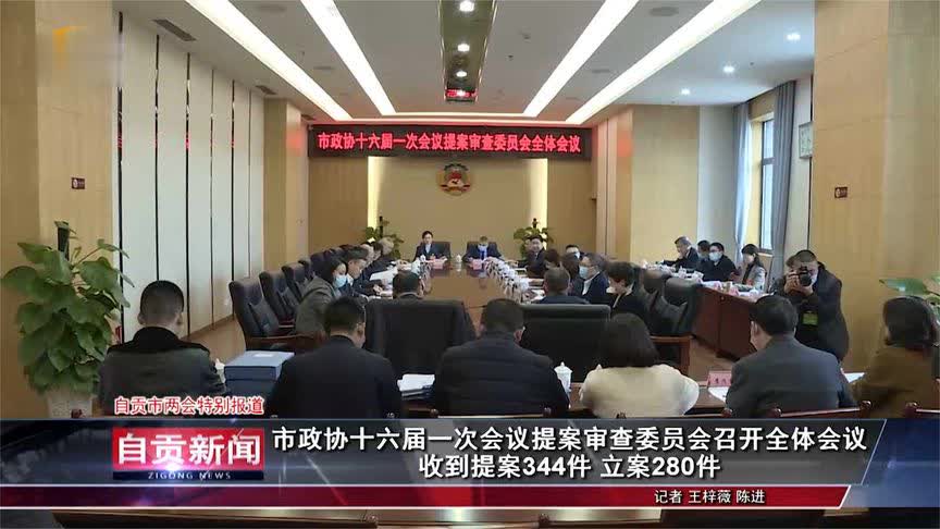 市政协十六届一次会议提案审查委员会召开全体会议