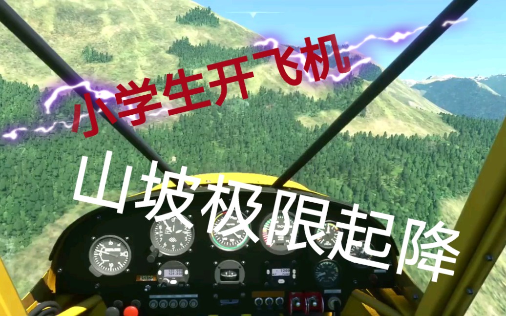 小学生玩MFS2020:极限短距起距能力挑战系列2--Savage Cub山坡...