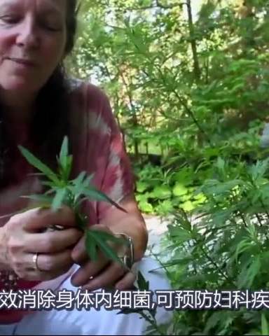 用“艾草”泡脚时,这一点一定要做对!很多人不懂老是泡错