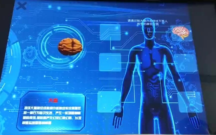 禁毒教育基地 禁毒教育展厅 禁毒展馆教育 人体模型禁毒演示互动 3D...