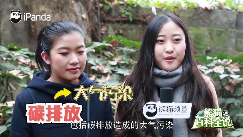 熊猫宝宝濒危的原因,大家讲的太有道理了,一起来听听