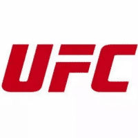 UFC终极格斗赛 