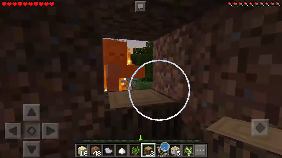 我的世界 生存模式在门口等着的怪物