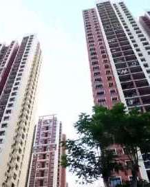 ...代表重点建议交办会议上,市人大代表就加强社康中心建设和管理、...