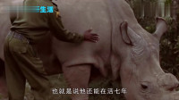 即将绝种的稀有动物, 世界上仅剩一只, 多名特警持枪昼夜看护!
