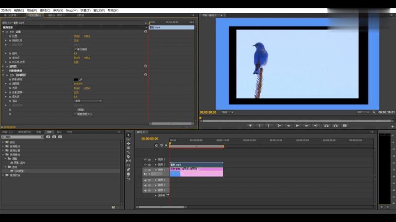 「pr教程」给视频添加画框视频描边及阴影效果「pr视频剪辑教程」