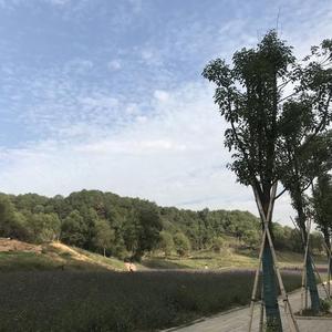 我是地瓜分享影视 