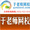 于老师网校视频 