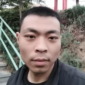 花蝴蝶影视剪辑 