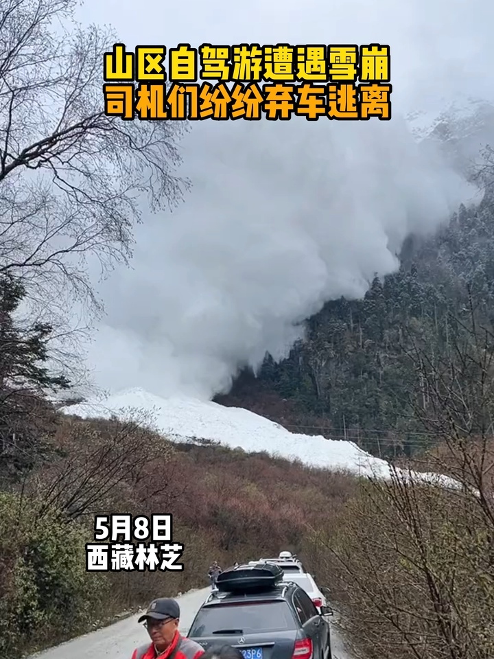山区自驾游遭遇雪崩 司机们纷纷弃车逃离