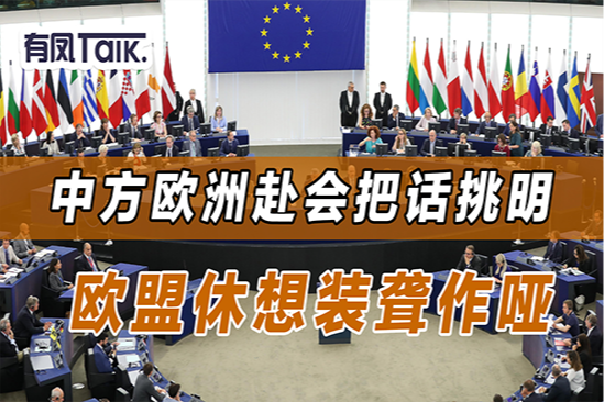两场会议,中方两代表强调同一问题,欧盟休想装聋作哑