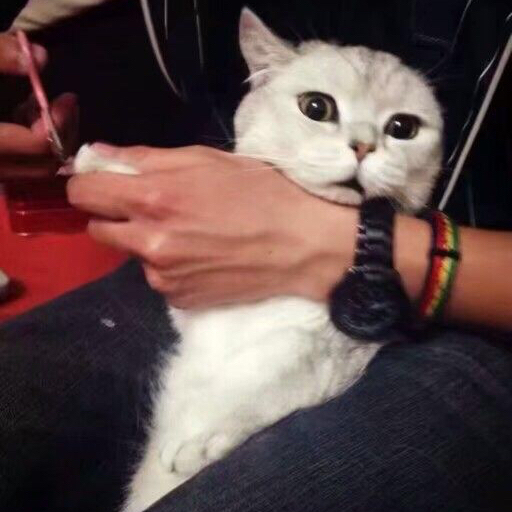 Tok啊和 