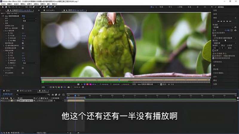 第12集 | 《AE基础教学》roto笔刷工具的使用 #ae教程 #ae基础 #ae...