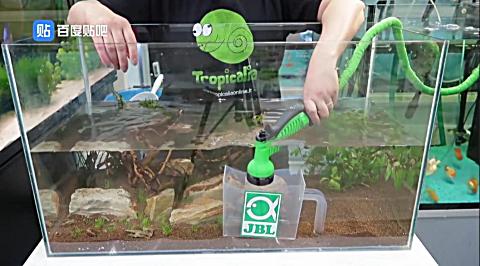 自己动手制作生态鱼缸,挺简单的,手产党应该也可以!
