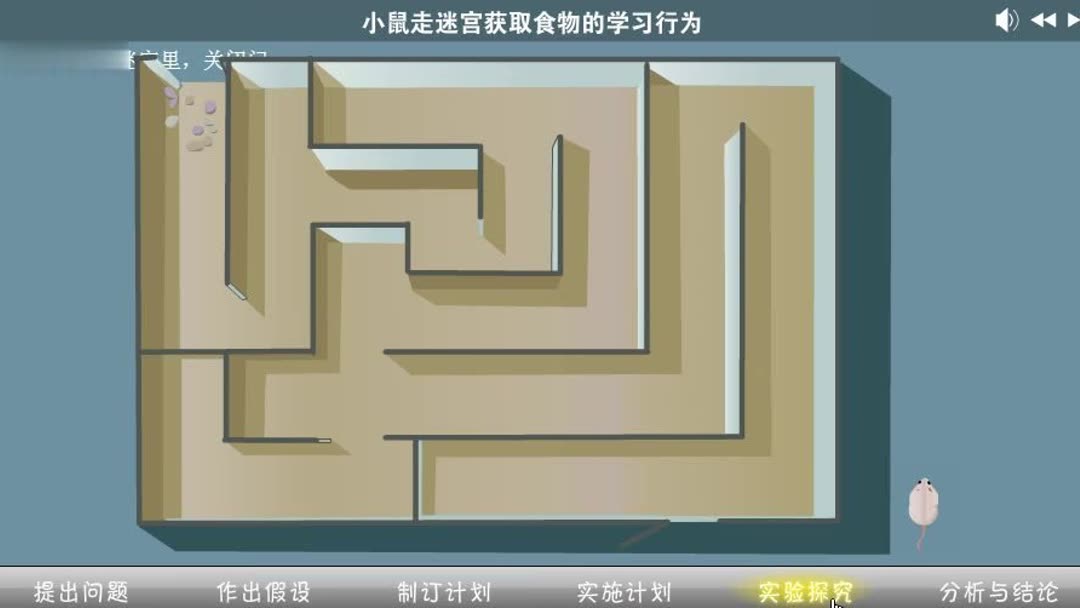 模拟实验之小老鼠走迷宫获取食物的学习行为