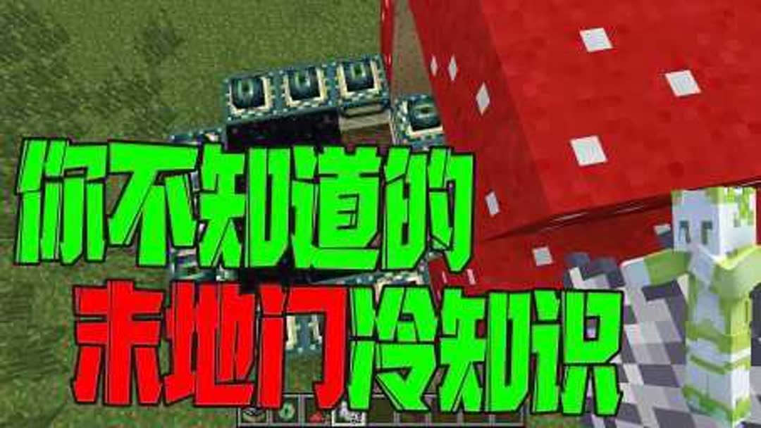 我的世界:原来末地门还有这么多冷知识!