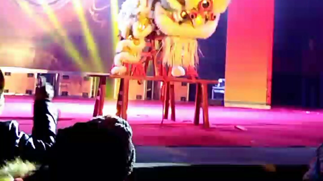 2017年,稷山县下费村,36岁同龄人大型文艺晚会之舞狮表演