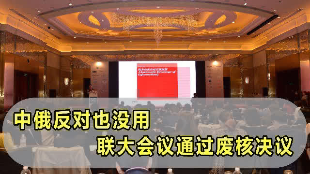中俄反对也没用,联大会议通过重要决议,日本终于如愿以偿