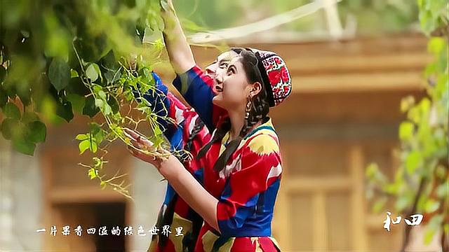 “云”游和田|两树一廊