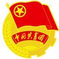 东营区共青团 