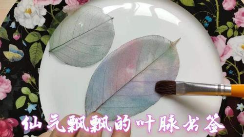 自制仙气飘飘的叶脉书签,究竟哪些叶片适合呢?方法简单成品惊艳