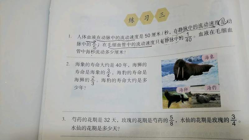 六年级上册数学第一单元分数乘法(练习三第1题,第2题,第3题)