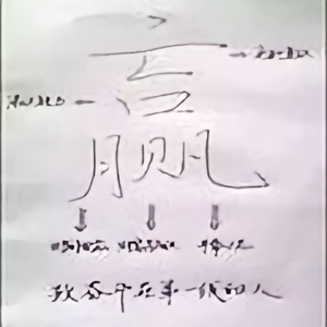 安庆市小鸟电动车 