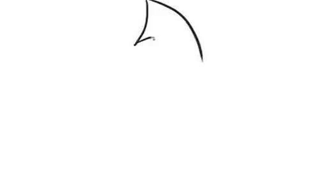 简笔画入门初学教程 教你如何画凶恶的小鲨鱼简笔画