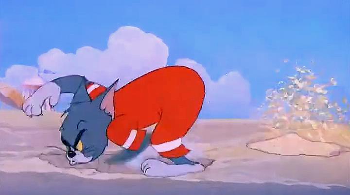 猫和老鼠:汤姆追赶杰瑞,却让杰瑞给埋了,这猫真是傻到不行!