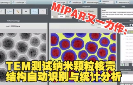 MIPAR第11期:TEM测试纳米颗粒核壳结构自动识别与统计分析