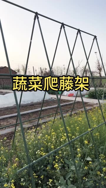 黄瓜豆角搭架子,就用这款包塑加钢管材质的爬藤架