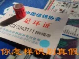 怎样辨别信鸽足环的真伪?养鸽小伙教你一招,让假环现出原形!