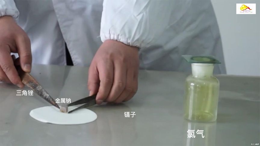 钠屑与氯气的反应