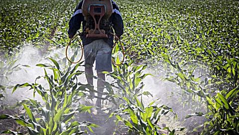 打药后喷雾器怎样清洗最安全? 农民一定要看, 别再搞错了