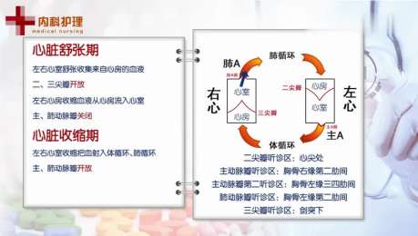 心瓣膜病 肺心病 心脏收缩期 舒张期 瓣膜狭窄 脆弱男人